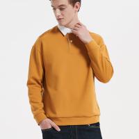 China OEM Unisex 100% Cotton Long Sleeve Sweatshirts Loose Turn Down Collar Hoodie for sale