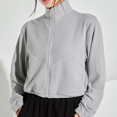 China 100% Cotton Spring Autumn Female Sports Clothes Stand Up Collar Hoodie for sale
