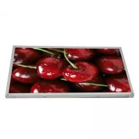 China AUO 17.3 Inch Full HD 1920*1080 Panel G173HW01 V0 -Pins LVDS LCD Module For Industry for sale