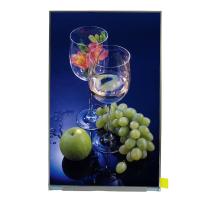 China 10.1 Inch Capacitive Touch Panel 800*1280 Laptop LCD Display MIPI Industrial Touch Screen for sale