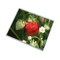 China 1024*768 Color BOE TFT Monitor 8 Inch Display For Industry for sale