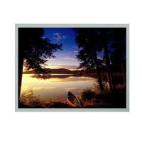 China Ips 12.1 Inch BOE LCD Display Tft Color For Laptop LED Driver Included for sale