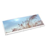 China 10.25 Inch 1920*720 RGB INNOLUX LCD Display Automotive Screen for sale