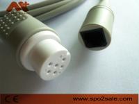 China Mindray Datascope IBP Transducer Cable 3.5M 6-Pin for Utah BD Edwards Abbott B.Braun Argon Medex for sale