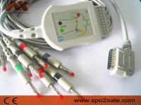 China Kenz Compatible Direct-Connect EKG Cable K131 - 10-Lead Medical TPU Cable with 6.0mm Diameter for ECG Monitoring Systems for sale