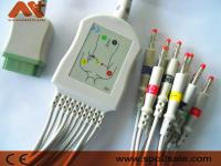 China GE Marquette Compatible 10-Lead EKG Cable with 6.0mm+3.0mm TPU Construction for Cath-Lab, Dash, Eagle Monitoring Systems for sale