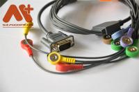 China DMS 300-3A 10 Lead Holter Cable with Snap Plug - AHA Standard ECG Cable, ISO13485 & CE Certified Medical TPU Cable for sale