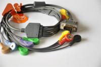 China DMS 300-3A 10 Lead Holter Cable with Snap Plug - AHA Standard ECG Cable, ISO13485 & CE Certified Medical TPU Cable for sale