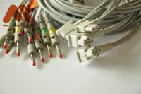 China HP Compatible EKG Leadwire Twin Pin 90 Degree Angled AHA 5 Lead Set for sale