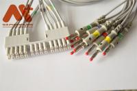 China Mortara Burdick 10-Lead EKG Cable 9293-041-50 with Banana 4.0 Connectors for Medical Monitors for sale