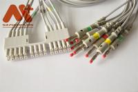 China Mortara Burdick 10-Lead EKG Cable 9293-041-50 with Banana 4.0 Connectors for Medical Monitors for sale