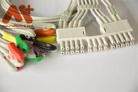 China Mortara Burdick 10 Lead ECG Cable 9293-047-60 AHA Twin Pin EKG Leadwire for sale
