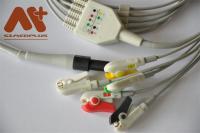 China Welch Allyn Propaq LT 5 Lead Clip Compatible Direct-Connect ECG Cable 9Pin 250cm for sale