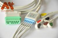 China 12Pin Nihon Kohden ECG Cable 6 Lead Snap for sale