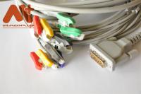 China Bionet ECG Trunk Cable 10 Lead DB15 for Cardiocare 2000 Cardiotouch 3000 Cardio 7 for sale