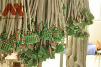 China Ambisea 10 Lead ECG Cable DB15 for AV-9100 9300 9600 9120 EKG Machine for sale
