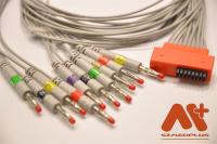 China Cardioline Touch ECG-HD Holter Cable IEC Banana 4.0 16Pin Medical TPU for sale