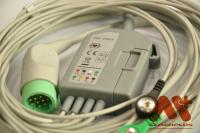 China Physio Control Compatible ECG Trunk Cable 4 Lead 8 ft 12 Pin ISO13485 for sale