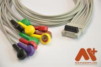 China Compatible BTL 08 10 Lead Holter Cable 16 Pin IEC Standard Medical TPU for sale