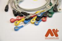 China Compatible Valenta Mn-08 7 Lead Holter ECG Cable 1.5m Medical Grade for sale