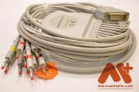 China Biocare EKG Cable ECG101 Series - 10 Lead Medical TPU Cable with 6.0mm Diameter and CE/ISO13485 Certification for sale