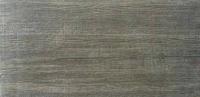 China Matt Finish Printing Ceramic Wall Tile Acid Resistant 300 X 600 Mm Size for sale