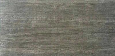 China Matt Finish Printing Ceramic Wall Tile Acid Resistant 300 X 600 Mm Size for sale