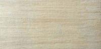 China Matt Finish Printing Ceramic Wall Tile Acid Resistant 300 X 600 Mm Size for sale