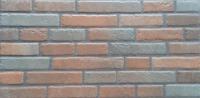 China Antibacterial Ceramic Wall Tile Inkjet Printing Conformed Crazing Resistance for sale