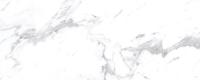 China Carrara Designed Bathroom Ceramic Tile / Decorative Wall Tiles 9.5mm Thickness for sale