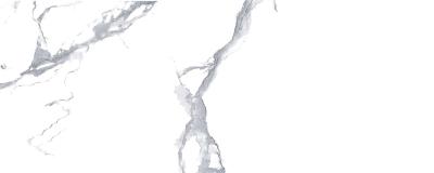 China Anti - Bacterial Decorative Ceramic Tile Multi Styles For Carrara Soft Glazed for sale