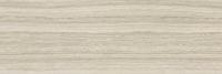 China Modern Decorative Rustic Ceramic Tile 300 × 900mm Eco – Friendly Durable for sale