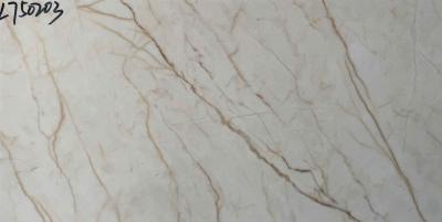 China 300 × 600mm Carrara Shiny Ceramic Tile With Brown Vein High - Definition Beauty Blended for sale