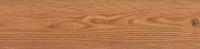 China Scratch Resistant Wood Effect Ceramic Tile For Families With Kids for sale