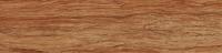 China Brown Color Natural Wood Grain Tile Blends With Decors 15 × 60 Cm Grade AAA for sale