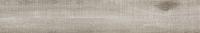China 200 × 1200 mm Ceramic Tiles Wood Design Wear - Resistant For Project for sale