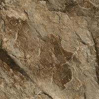 China Wear - Resistant Promotional Tiles With Inkjet Print Quality , 24 x 24 Porcelain Tile Fluoride - Free for sale