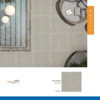 China Interior Decorative Ceramic Tile Flooring Matt Finish Grade AAA for sale