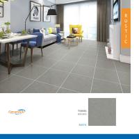 China Anti Slip Full Body Rustic Ceramic Floor Tiles  60x60cm Grey Color for sale