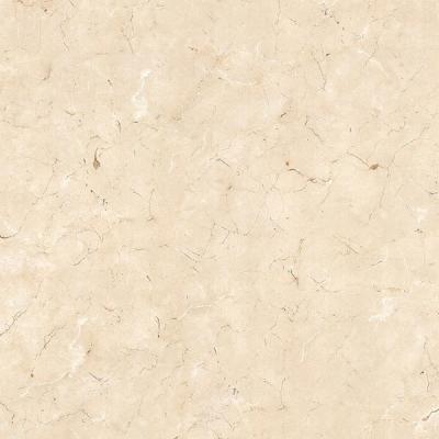 China Full Body Polished Beige Porcelain Floor Tile 800 X 800 Mm For Office Builing for sale
