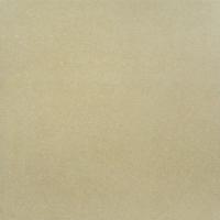 China AAA Grade Inkjet Printing Glazed Ceramic Tile / Porcelain Matt Floor Tiles for sale