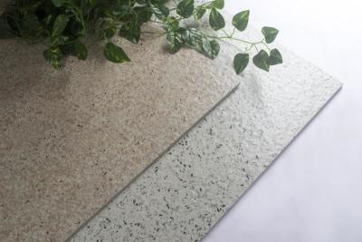 China Speckled Matt Surface Glazed Ceramic Tile Flooring 600x600mm Salt And Peper Design for sale