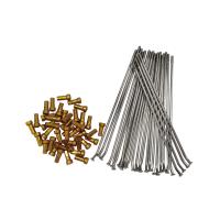 China 8G 9G 10G Motorcycle Spokes and Red Alloy Nipples for Replacement/Upgrade Accessories for sale