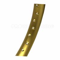 China U Type Gold Aluminum Alloy Motorcycle Wheel Rims for 17 Inch in Gold for sale