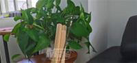 China Cast Acrylic Plexiglass Plastic Sheets 1220x2440mm Weathering Resistance for sale