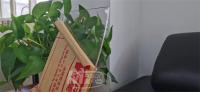 China Plexiglass 3mm Clear Cast Acrylic Sheet Moulding Anti Impact for sale