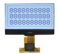 China 7 Segment 12864 Dot Matrix LCD Display with 6 O'clock Viewing Direction and ST7567s IC for sale
