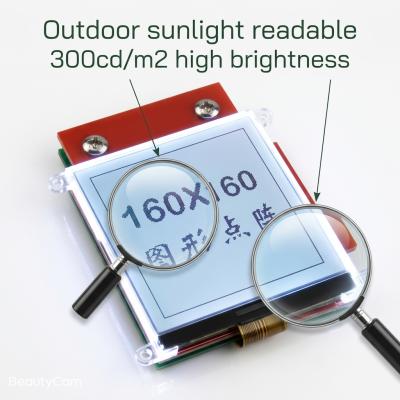 China Transflective Positive Monochrome LCD Display 160x160 Dots 300cd/m² 6 O'Clock View Direction for sale