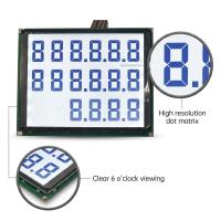 China 6 O'clock Monochrome LCD Panel 160x128 Dot Matrix Display with 5V Power and Extended Temperature Range for sale