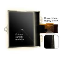 China Transflective Positive Monochrome LCD Display 160x160 Dots 300cd/m² 6 O'Clock View Direction for sale